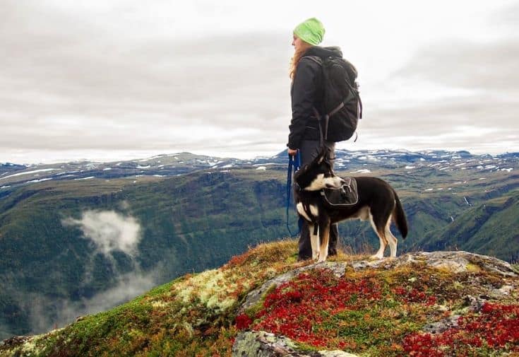 26 Things I Learned About Norwegian People After Living in Norway