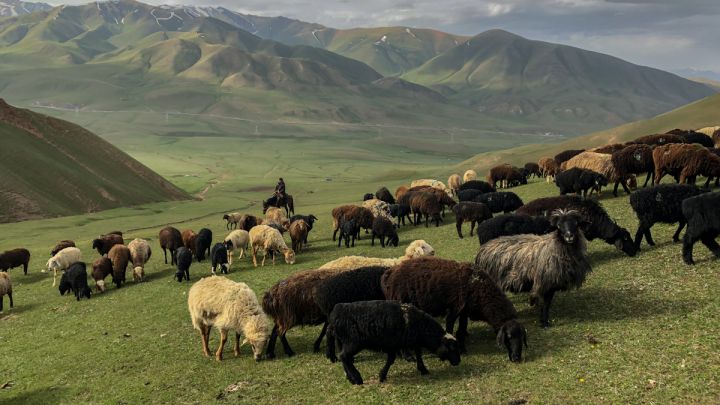 Konorchek Canyon: The Perfect Stop Between Bishkek and Issyk-Kul