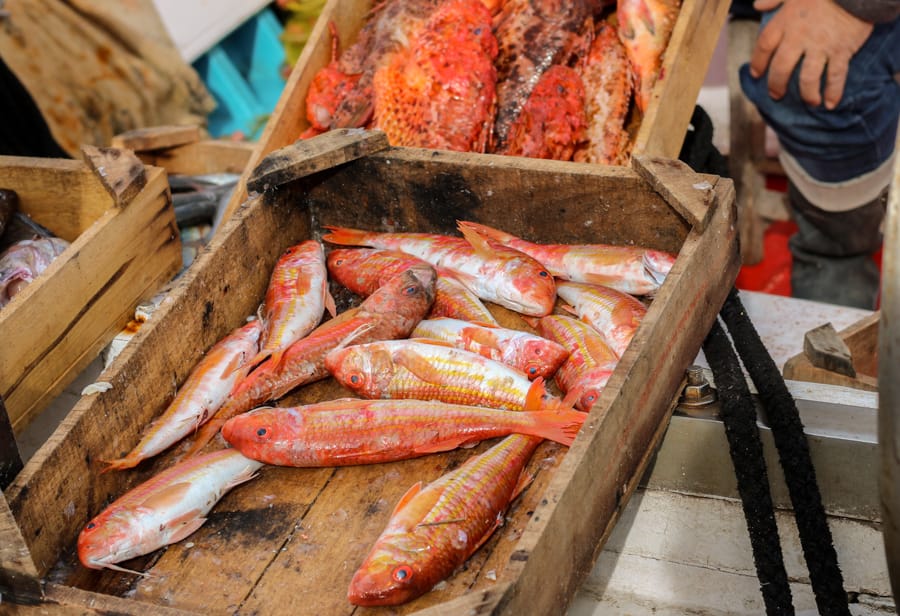 Best Things to Do in Hydra, Greece - Food, Beaches, & More!