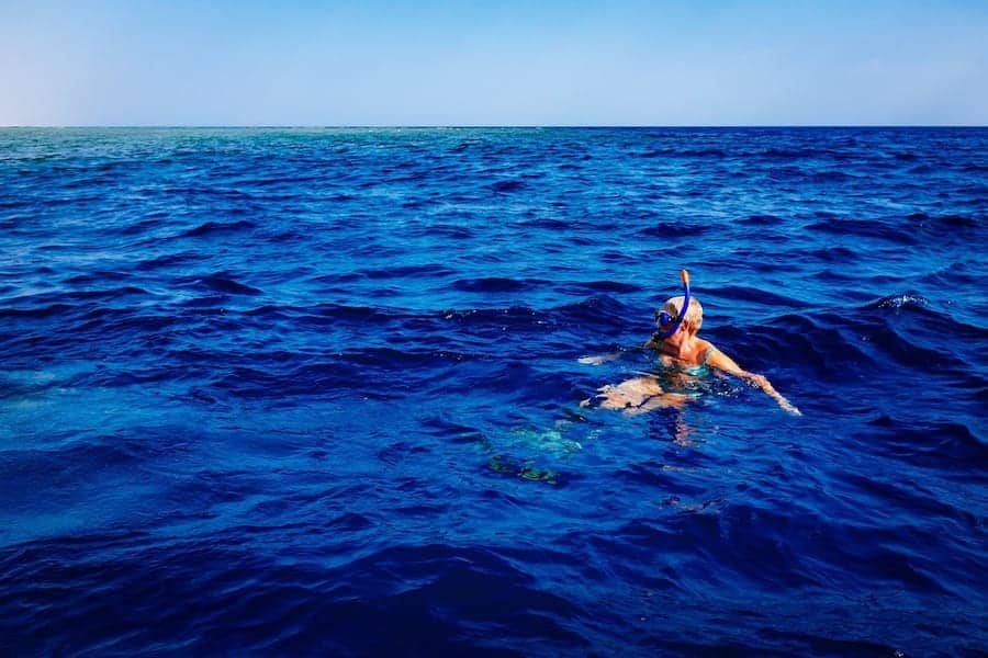 Azores Snorkeling Guide: Best Places to Go Snorkeling in the Azores