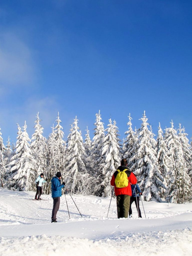 Oslo in Winter: 24 Magical (and Cozy!) Things to Do + Tips