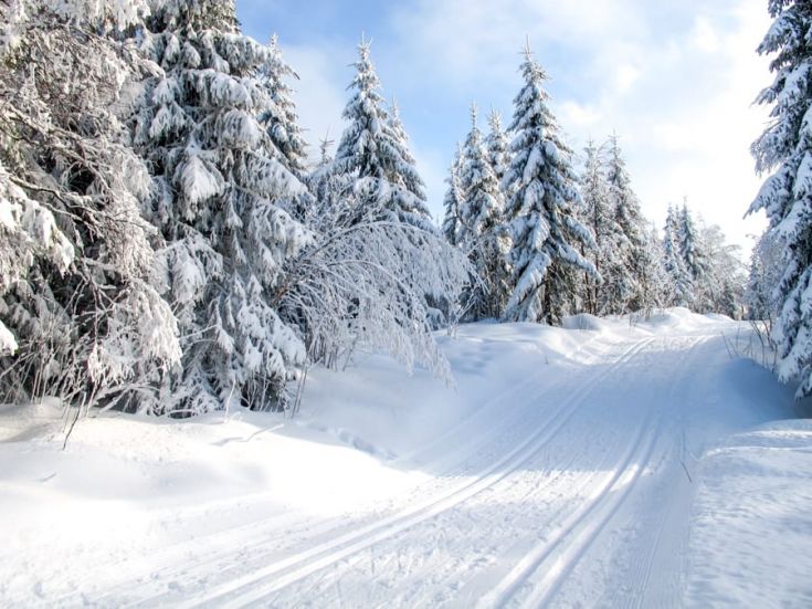 Oslo in Winter: 24 Magical (and Cozy!) Things to Do + Tips