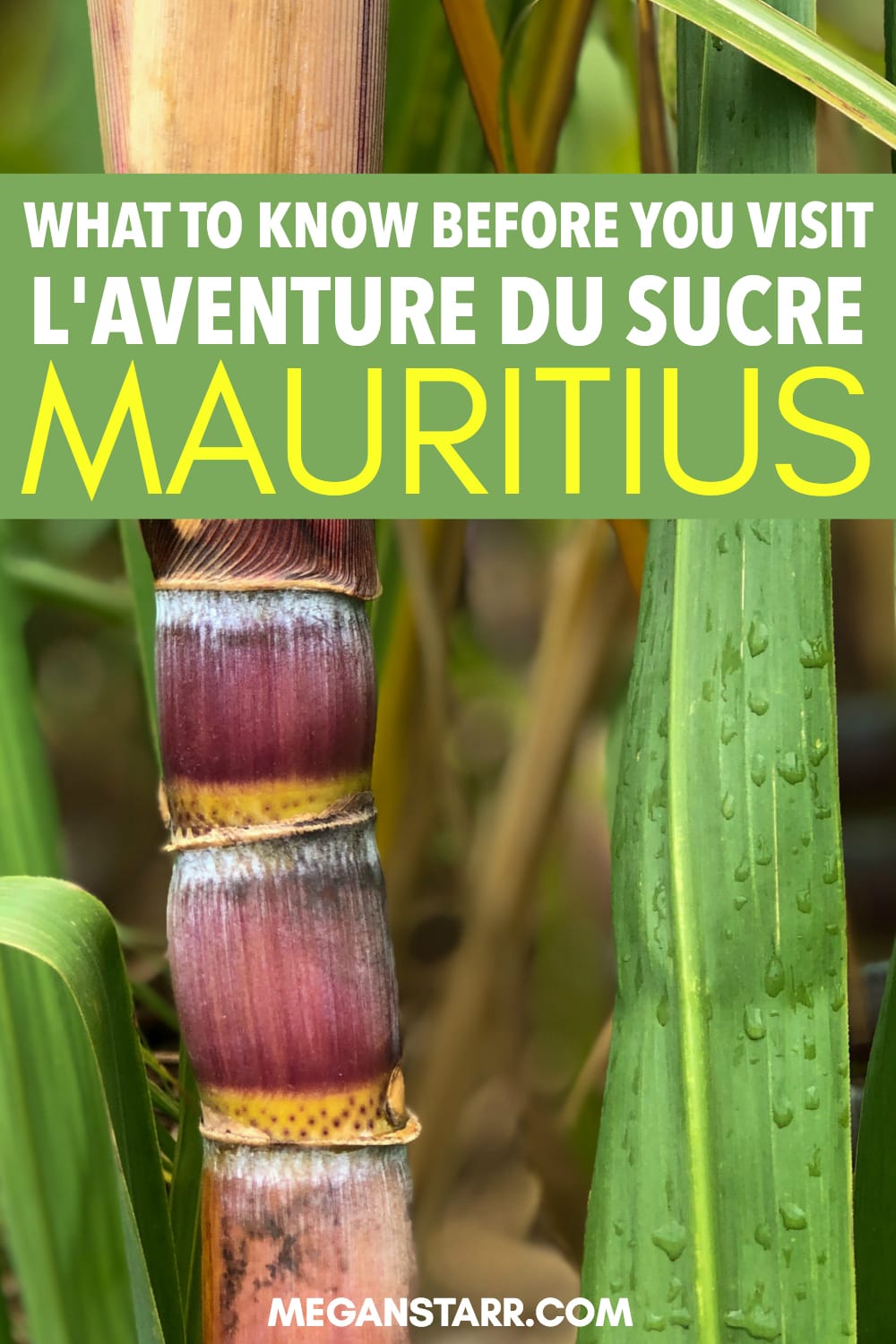 Why You Should Visit L’Aventure du Sucre in Mauritius (+ What to Expect)