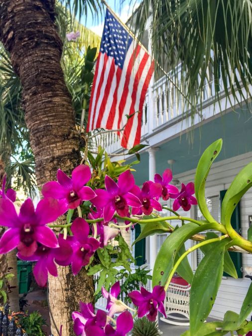 12 Fun and Festive Things to Do in Key West in December