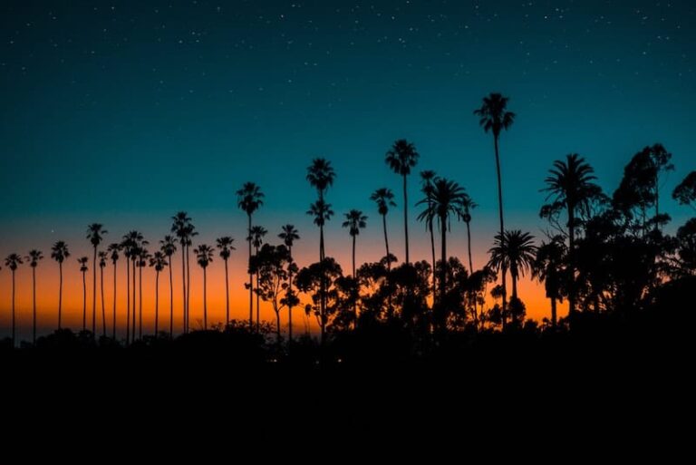 A Weekend in Los Angeles: The Perfect LA Itinerary