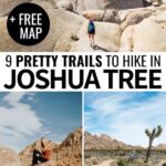 9 Best Hikes in Joshua Tree for All Levels (+ Map and Tips)