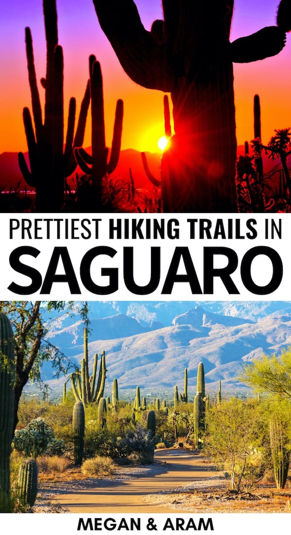 9 Best Hikes In Saguaro National Park For All Levels Map