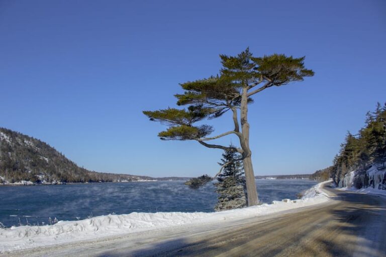 Acadia in Winter: Things to Do + Seasonal Tips (2024-2025)