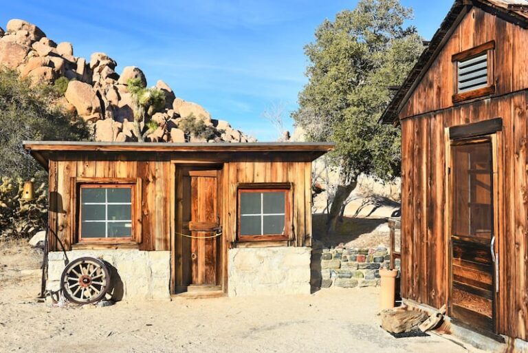 One Day in Joshua Tree: Suggested Itinerary + Things to Do