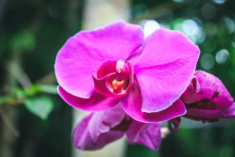 18 Amazing Things to Do in St. Thomas, US Virgin Islands