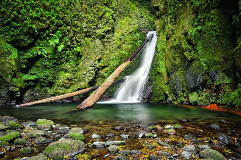15 Beautiful Azores Waterfalls in Sao Miguel (and Beyond!)