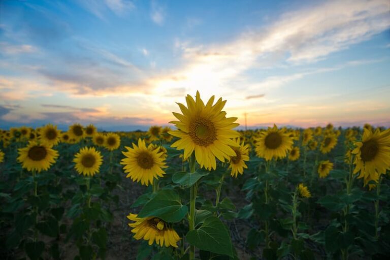 22 Unforgettable Day Trips from Denver (All Seasons!)