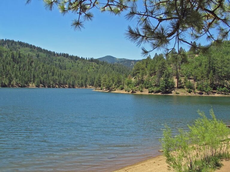 20 Best Things to Do in Ruidoso, NM (All Seasons Guide!)