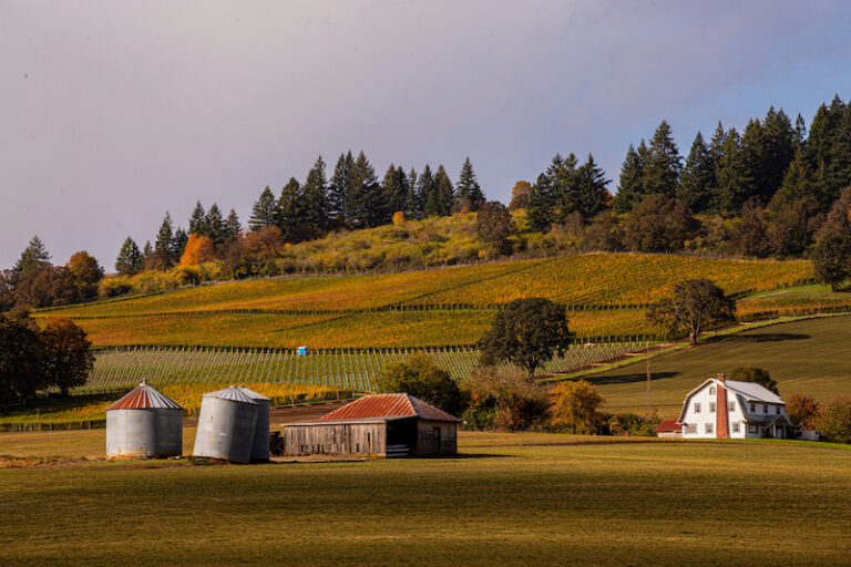 27 Charming Small Towns in Oregon (You Shouldn't Miss!)