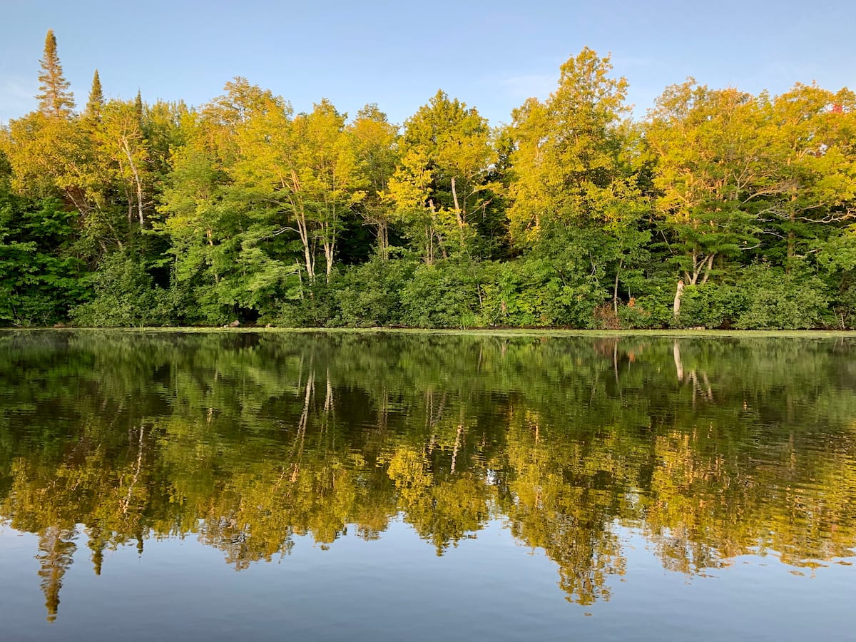 15 Best Small Towns in Minnesota (That You Shouldn't Miss!)