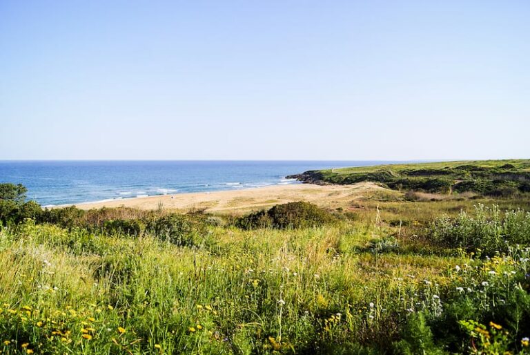 14 Best Things to Do in Noto, Sicily (+ Nearby Attractions!)