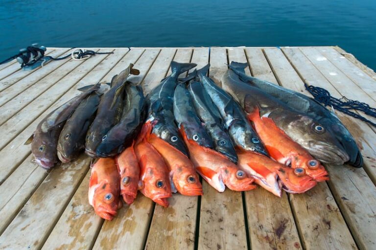 22 Bucket-List Things to Do in Tromso in Winter (+ Tips!)