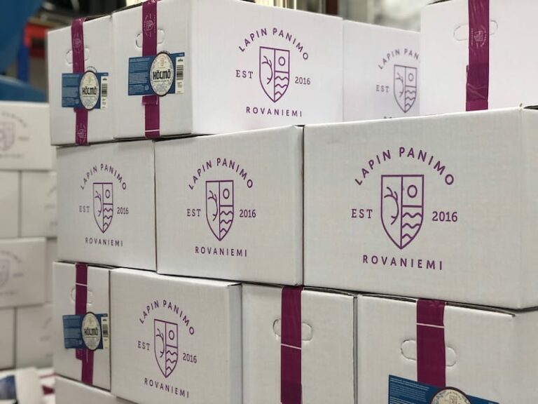 22 Things to Do in Rovaniemi in Winter (+ Lapland Tips)