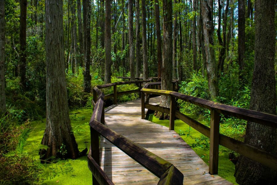15 Best National Parks to Visit in November (+ Seasonal Tips!)