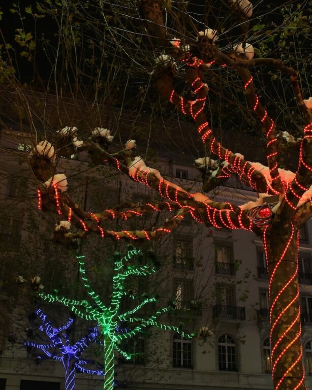 21 Festive Things to Do in Geneva in Winter (+ Seasonal Tips!)