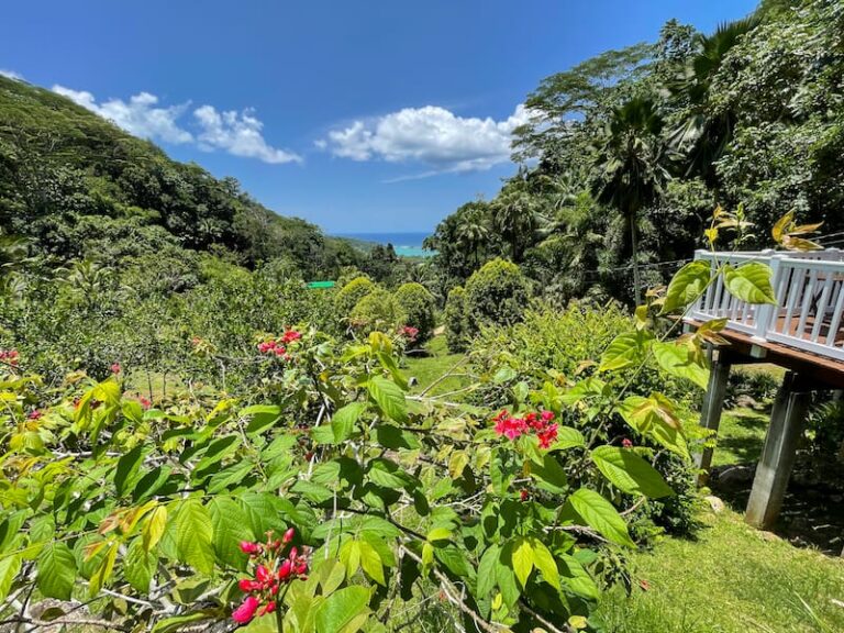 33 Travel Tips for Visiting the Seychelles (as a First-Timer!)