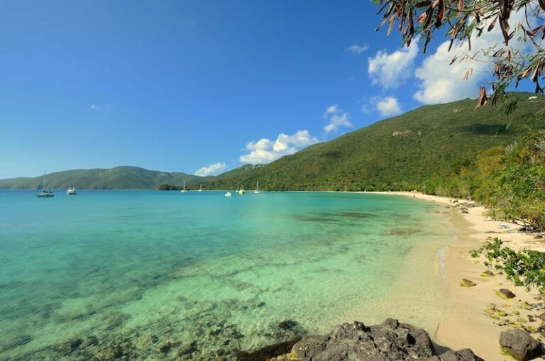12 Best Beaches in St. Thomas, USVI (That'll Blow Your Mind!)