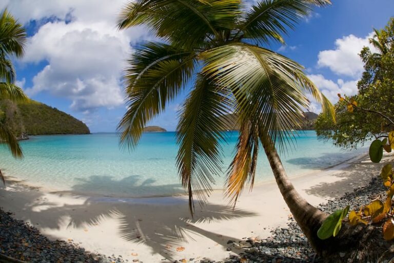 13 Most Beautiful St. John Beaches (+ Map to Locate Them!)