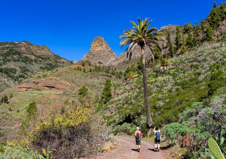 25 Terrific Things to Do in Tenerife (+ Best Activities!)
