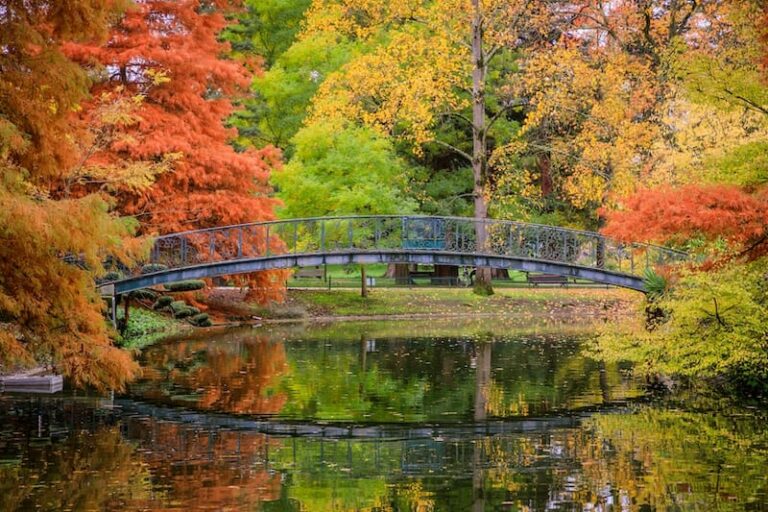 22 Best Things to Do in Bordeaux (for First-Time Visitors!)