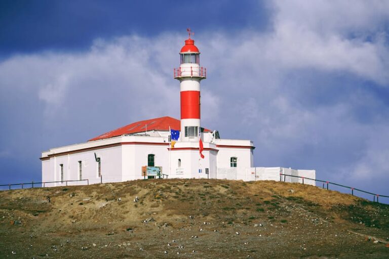 15 Can't-Miss Things to Do in Punta Arenas, Chile (+ Day Tours)