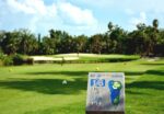 5 Best Golf Courses in the Florida Keys (for All Skill-Levels!)