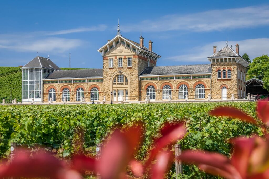 12 Best Towns in the Champagne Region (+ Charming Villages!)