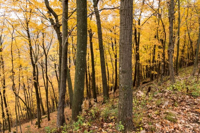 21 Best Places to Visit in Wisconsin (for Your Bucket List!)