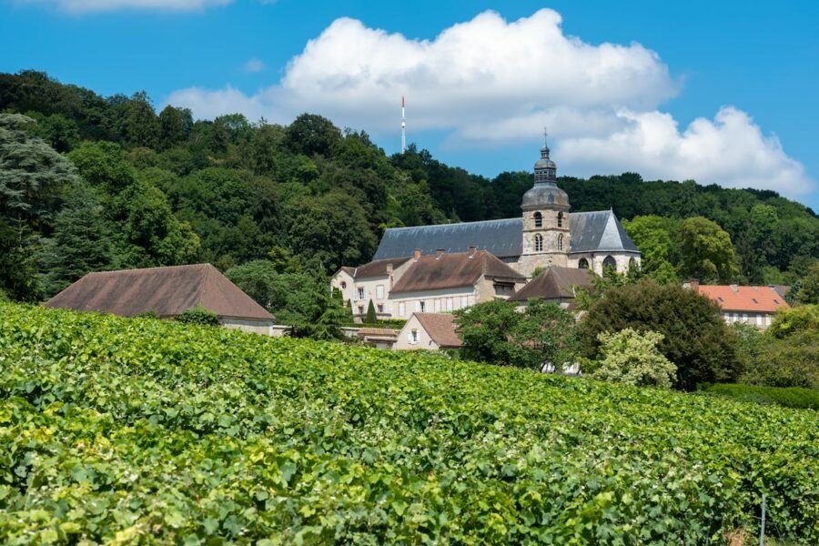 12 Best Towns in the Champagne Region (+ Charming Villages!)