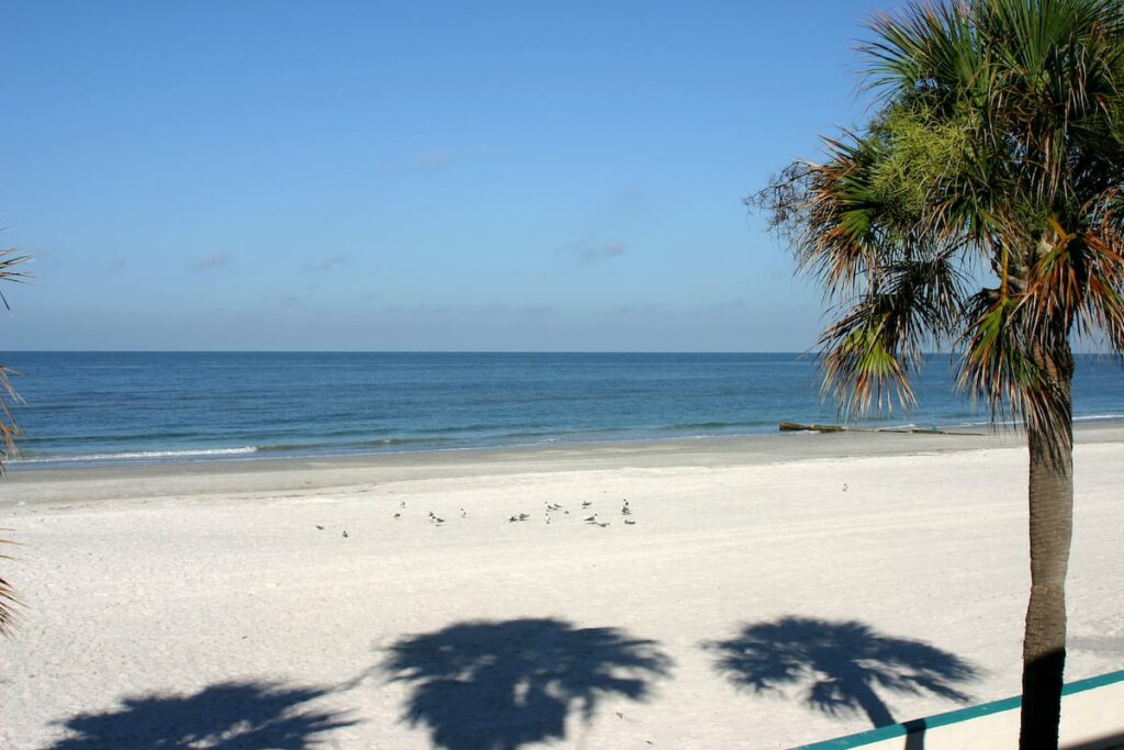 10 Most Beautiful Beaches in Tampa, FL (and Nearby!)