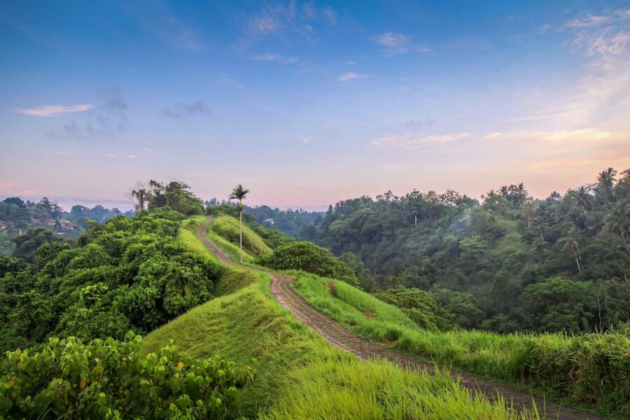 25 Unforgettable Things to Do in Ubud (for First-Timers!)