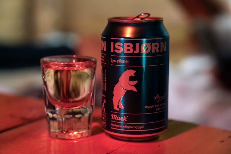 Camp Barentz in Svalbard: Is an Arctic Wilderness Evening Worth It?