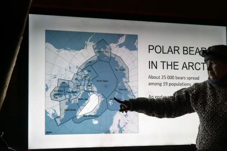 Camp Barentz in Svalbard: Is an Arctic Wilderness Evening Worth It?