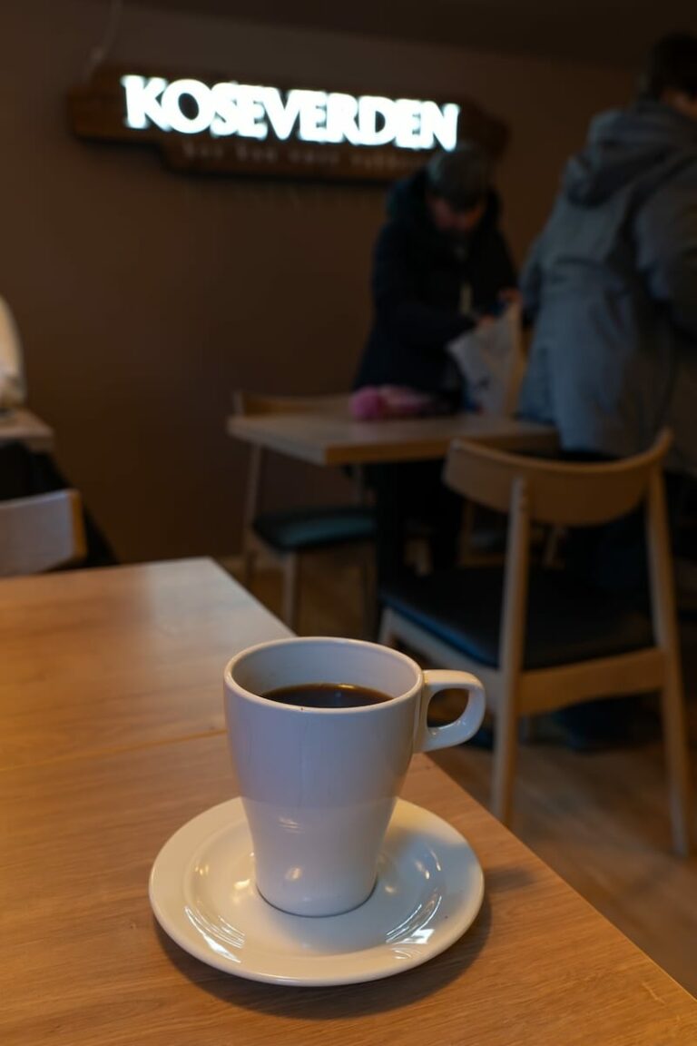9 Delicious Coffee Shops and Cafes in Tromsø, Norway (+ Map)