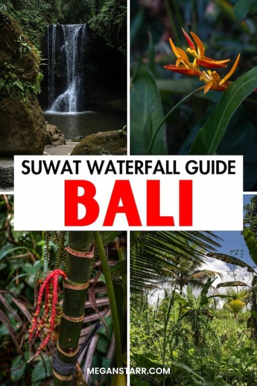 A Complete Guide to Visiting Suwat Waterfall in Bali