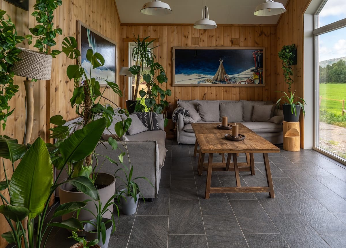 Checking Into Alta's Holmen Husky Lodge Forest Suites (Review)